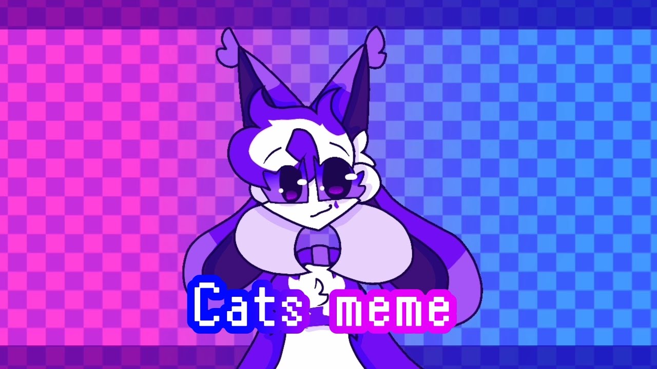 Yay Cat Meme