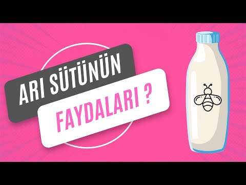Arı Sütü Faydaları Nelerdir? Nasıl Kullanılır?