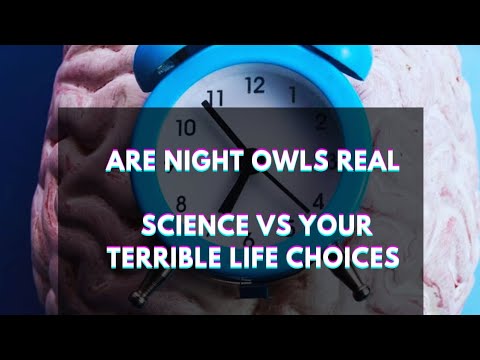 Chronotype Night Owls And Early Birds Might Be A Lie Youtube 7394