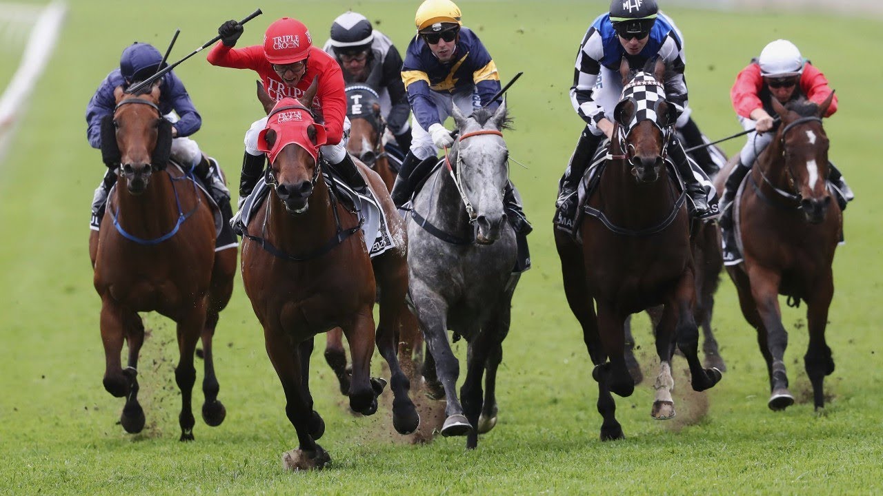 Ackerman Racing - Seg 11 Friday + saturday tips 04/01/19 - YouTube