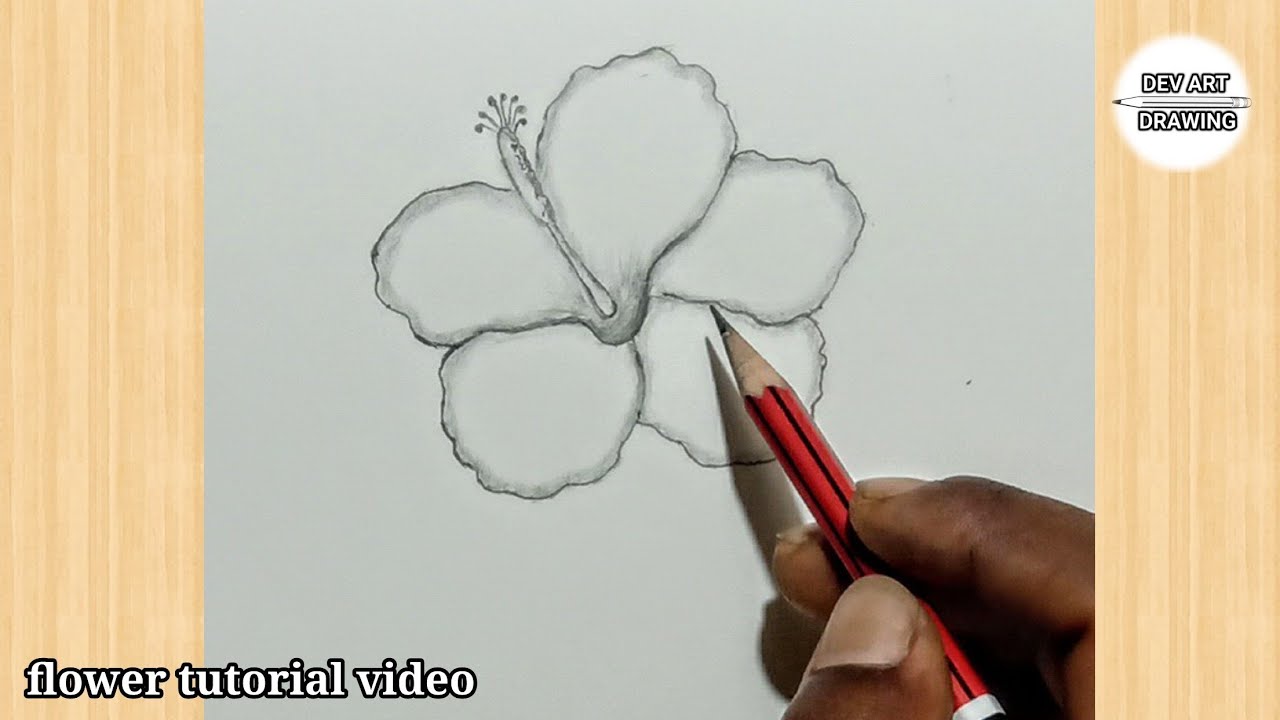 how to draw flowers in simple natraj pencil !! flower sketch step by ...