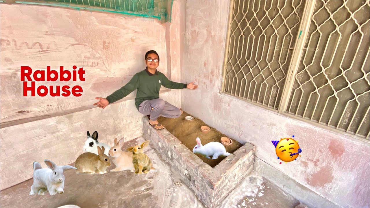 Finally Rabbit🐰House Complete Hogya🥳 - YouTube