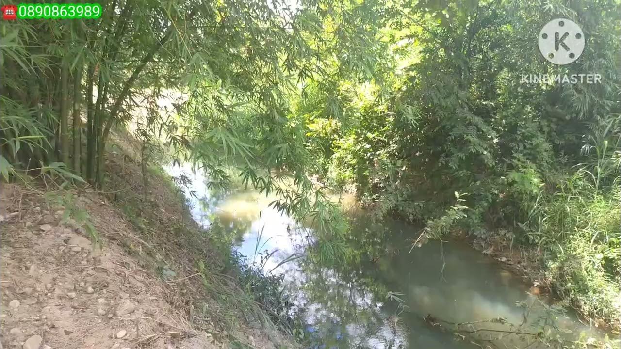 K546ขายที่ดินติดลำธาร5ไร่ ขายไร่ละ1,200,000ต่อรองได้ ด้านหลังติดลำธารกว้าง80เมตร☎️0890863989คุณ ...