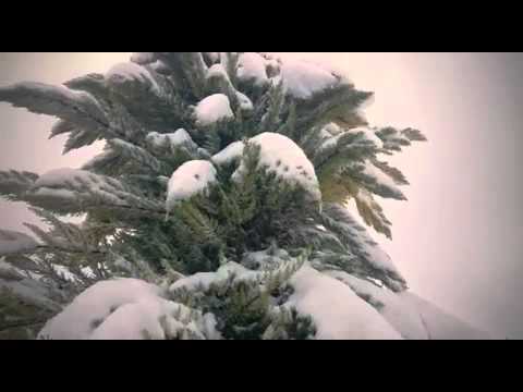 #snow #jana #jordan