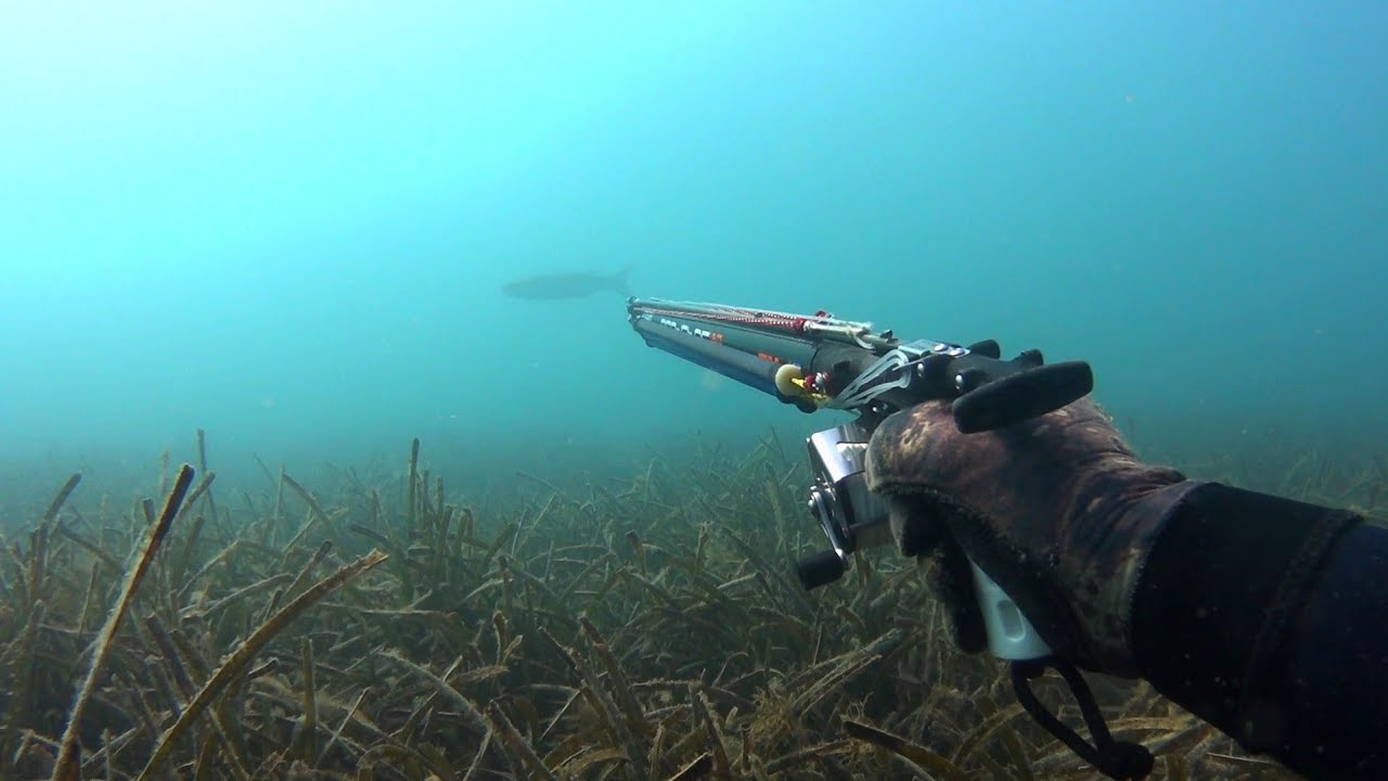 ΨΑΧΝΩΝΤΑΣ🥷ΤΑ🐟ΨΑΡΙΑ🔱🐙ΤΟΥ🧜‍♂️ΦΛΕΒΑΡΗ🇬🇷🇨🇾LOOKING🦑FOR💯THE FISH - YouTube