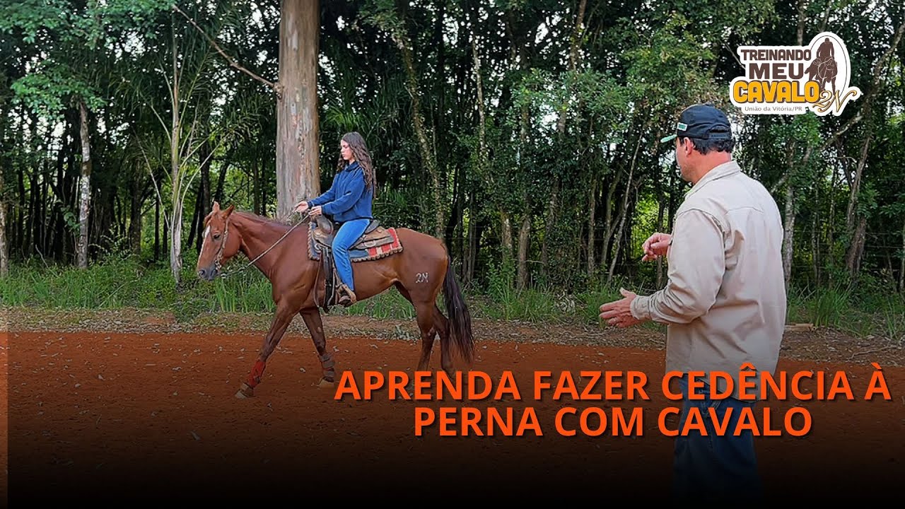 APRENDENDO CEDÊNCIA À PERNA COM CAVALO - YouTube