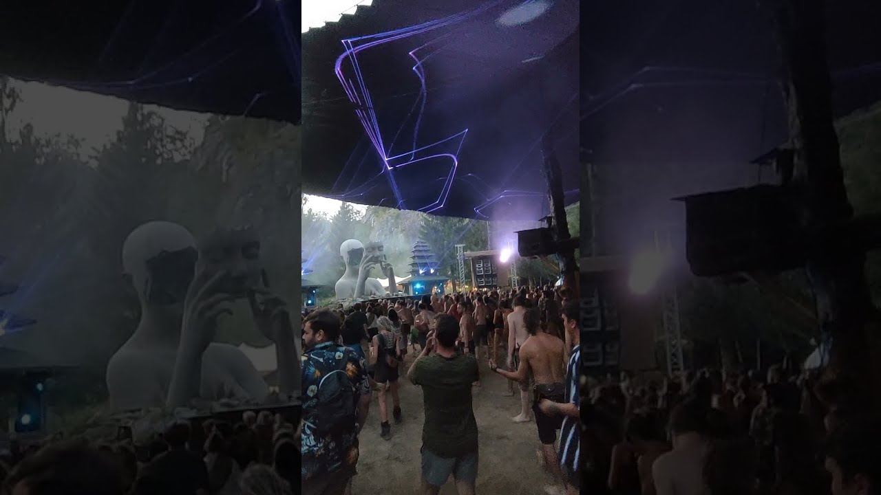 Swamp Stage V 1 Mutation Dark Forest - YouTube