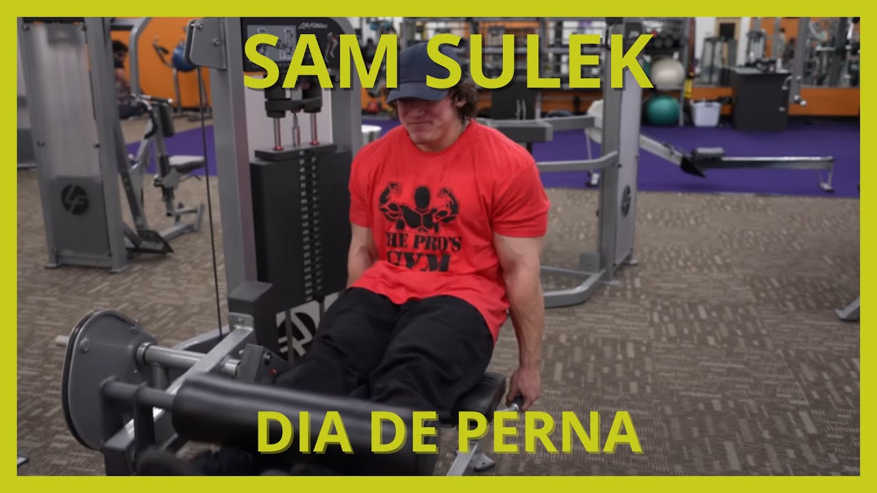 SAM SULEK - DIA DE PERNA - LEGENDADO PORTUGUÊS - YouTube