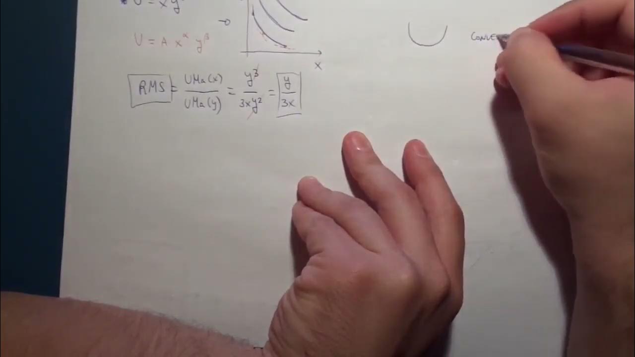 Funciones de utilidad de preferencias cóncavas y convexas - YouTube