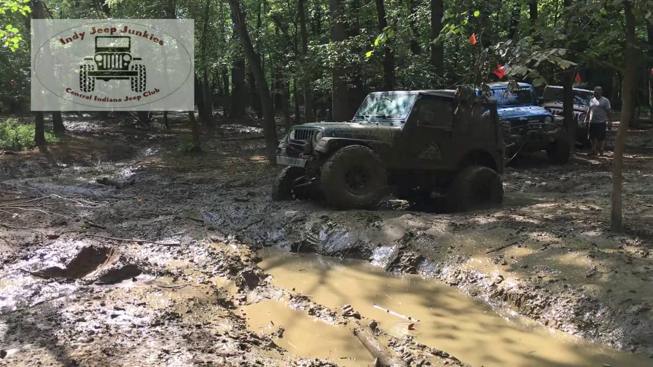 Watch out for that tree! - YouTube