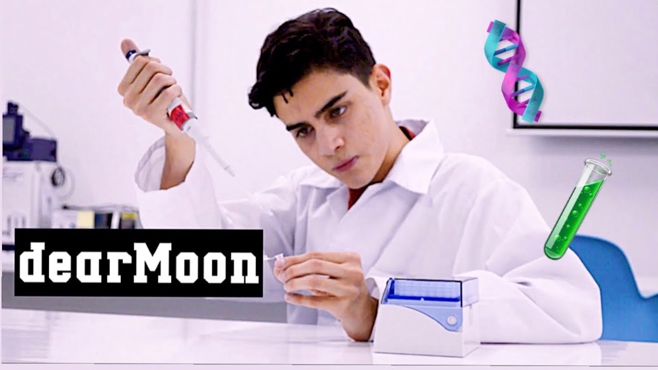 dearMoon Project - Jose Andrés Ardón (Guatemala) Phase 3 Assignment ...