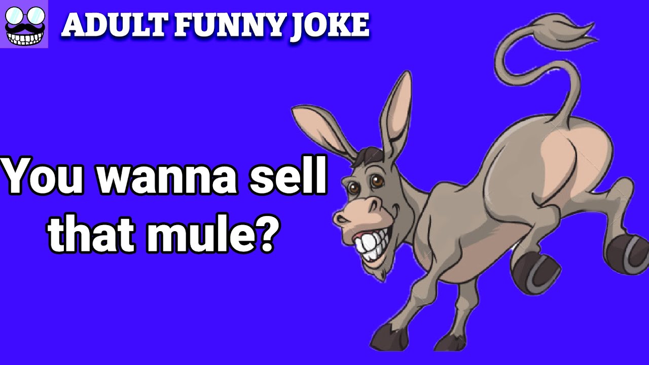 funny jokes 😂: You wanna sell that mule? - YouTube