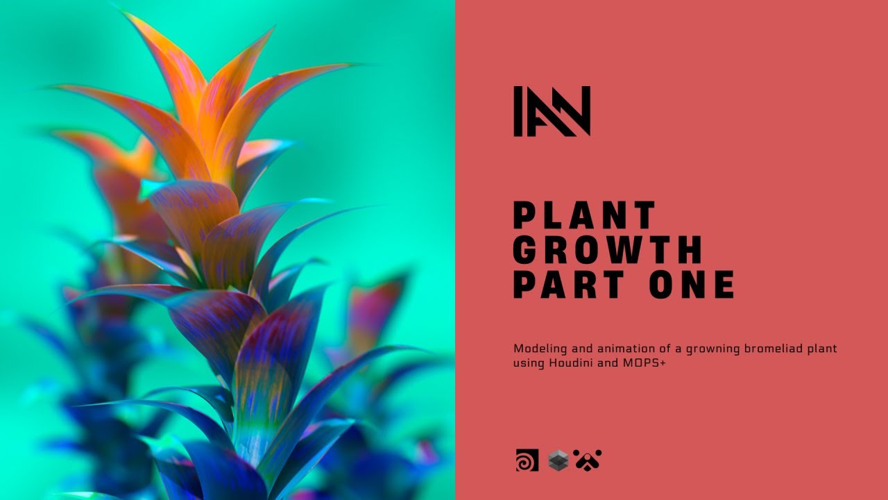 Plant Growth in Houdini with MOPS+ (Patreon Tutorial) - YouTube