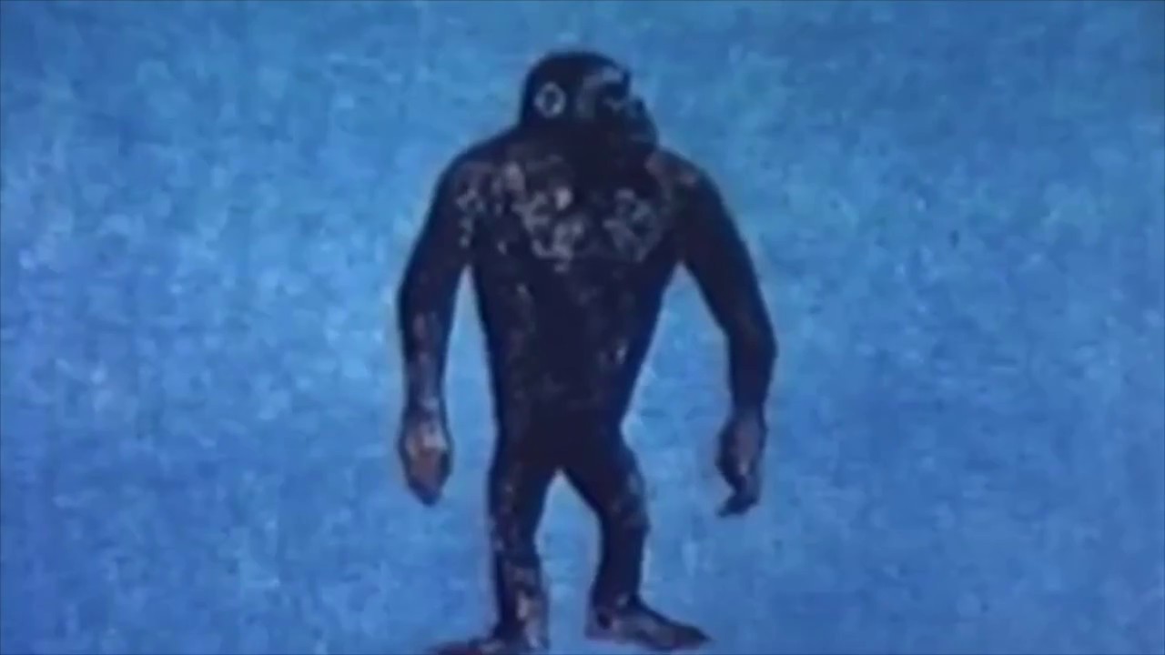 Human Analog HAM. The 100th Monkey Effect - YouTube