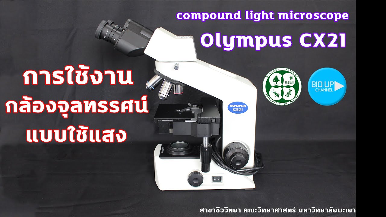 การใช้กล้องจุลทรรศน์แบบใช้แสง (Compound Light Microscope) Olympus CX21 ...