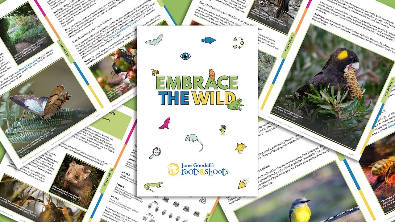 Introducing: Roots & Shoots' Embrace The Wild - a new nature connection ...