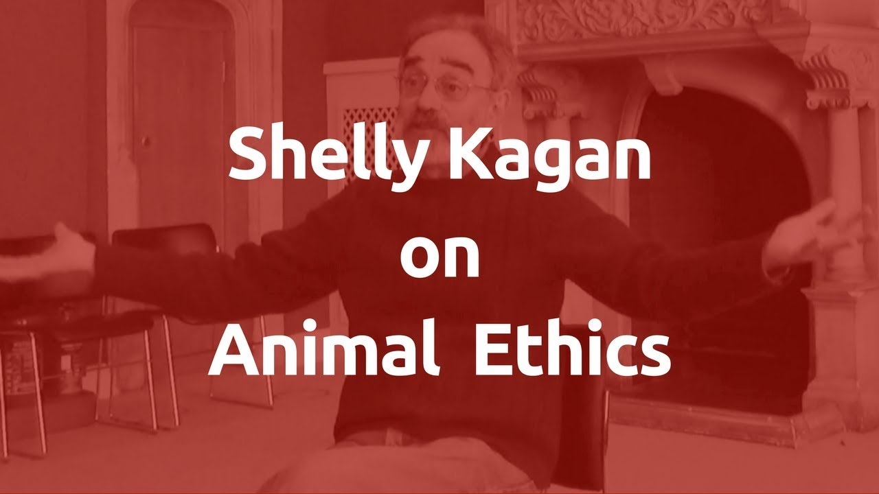 Is it okay to kill animals? Interview with Professor Shelly Kagan - YouTube