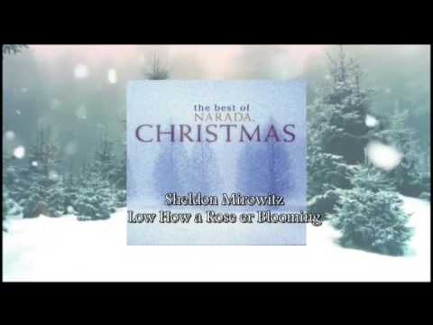 Narada - Sheldon Mirowitz - Low How a Rose er Blooming - YouTube