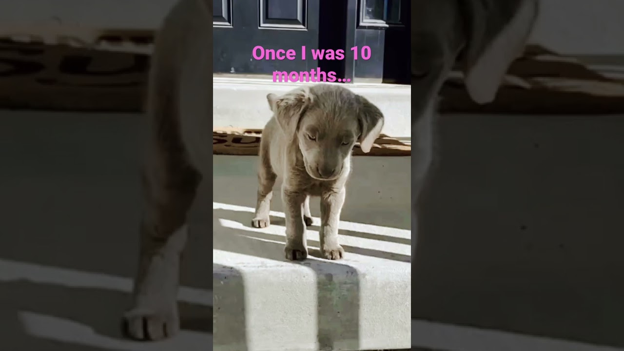 The years Go By So Fast YouTube the-years-go-by-so-fast-youtube