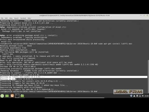 How to install SQL Server 2019 on Linux Mint 19 and connect from SQL ...