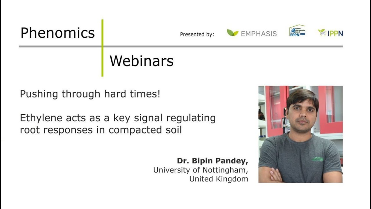 Dr. Bipin Pandey - Pushing through hard times! Ethylene as a key signal ...