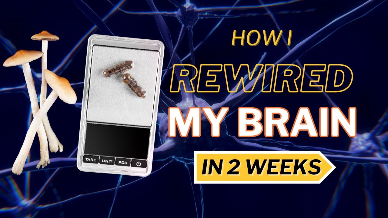 How To Rewire Your Brain In 2 Weeks - YouTube