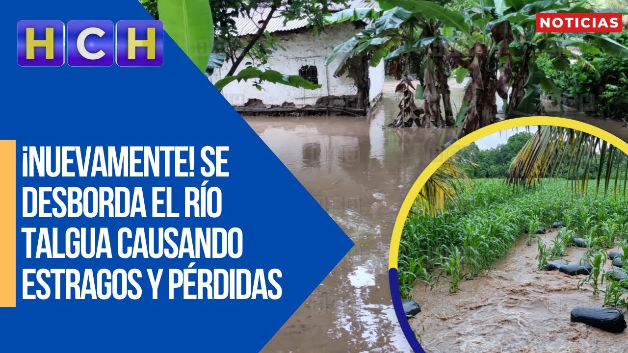 ¡Nuevamente! Se desborda el río Talgua causando estragos y pérdidas en ...