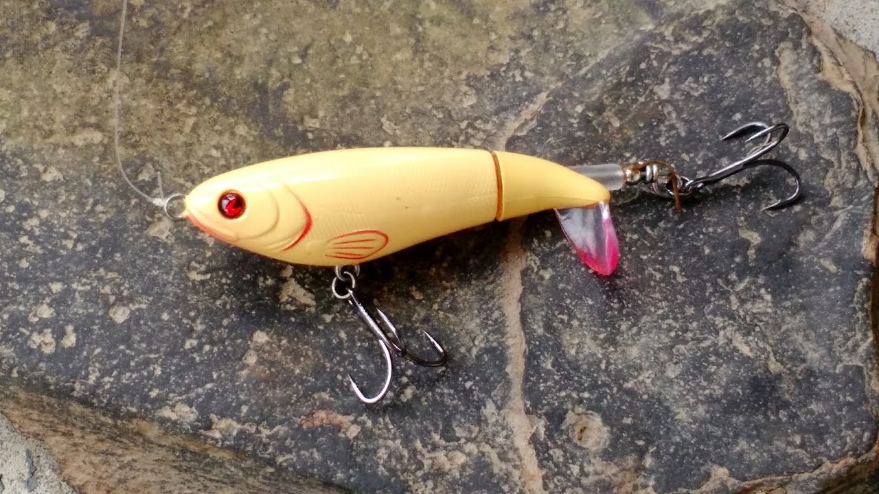 #1 Top Water Lure - Whopper Plopper EXPLOSION I'm Hooked ! - YouTube