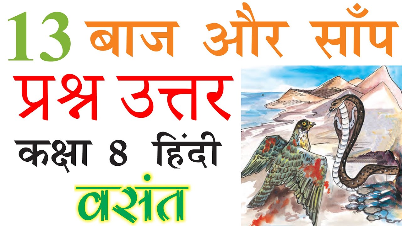 13. Baaj aur Saanp बाज और साँप (Question Answer) | Class 8 Hindi NCERT ...