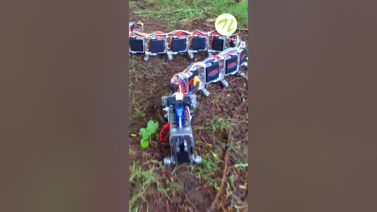 DIY Smart Snake Robot | Arduino Project Ideas by NevonProjects - YouTube
