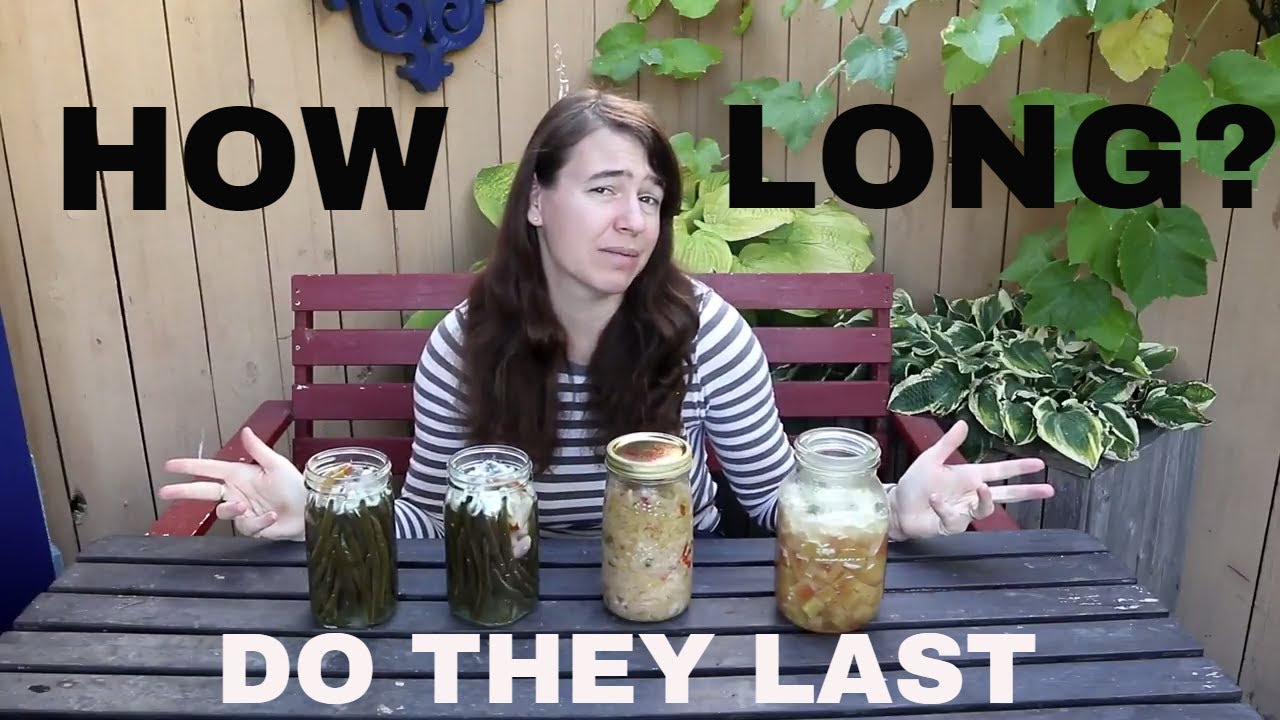 FERMENTED PICKLES: how long are they preserved, and my moldy failures ...