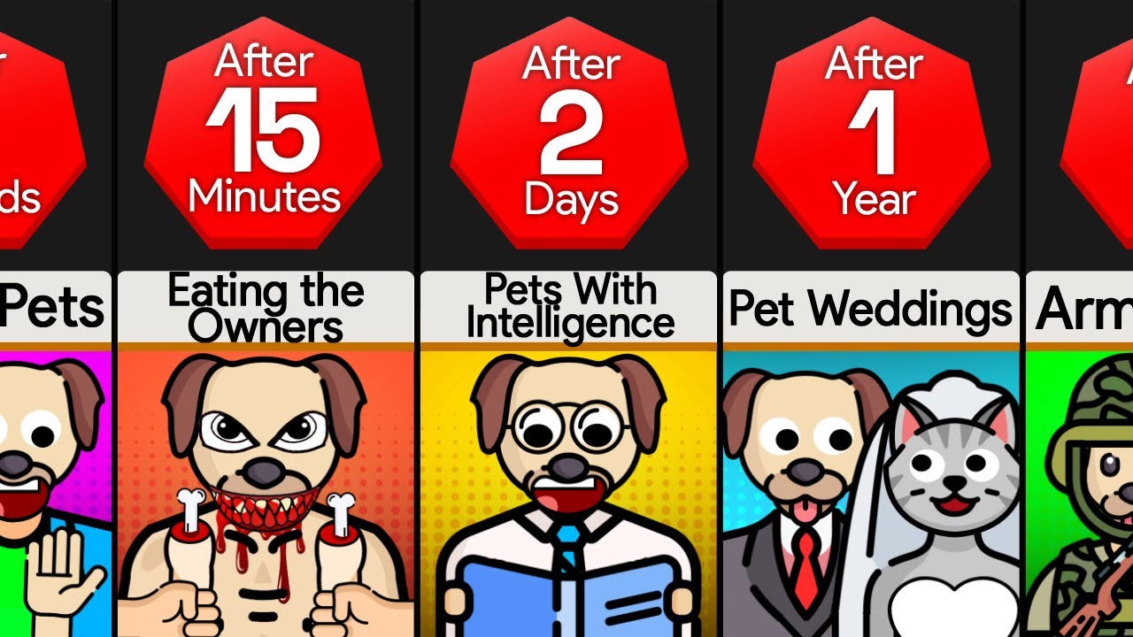 Timeline: What If Pets Swapped Bodies With Their Owner - YouTube