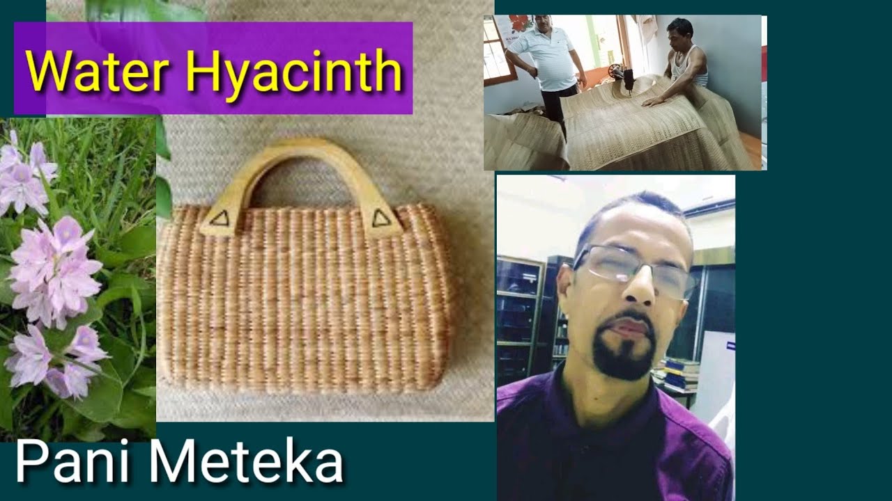 Water Hyacinth industry// Pani Meteka // @ Kiran live - YouTube