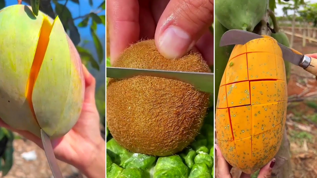 Amazing! Asmr Fruit Cutting | Fresh Ninja Fruit Cutting | Amazing Fruit ...