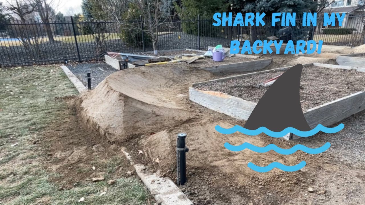 BUILDING A SHARK FIN IN MY BACKYARD! - YouTube