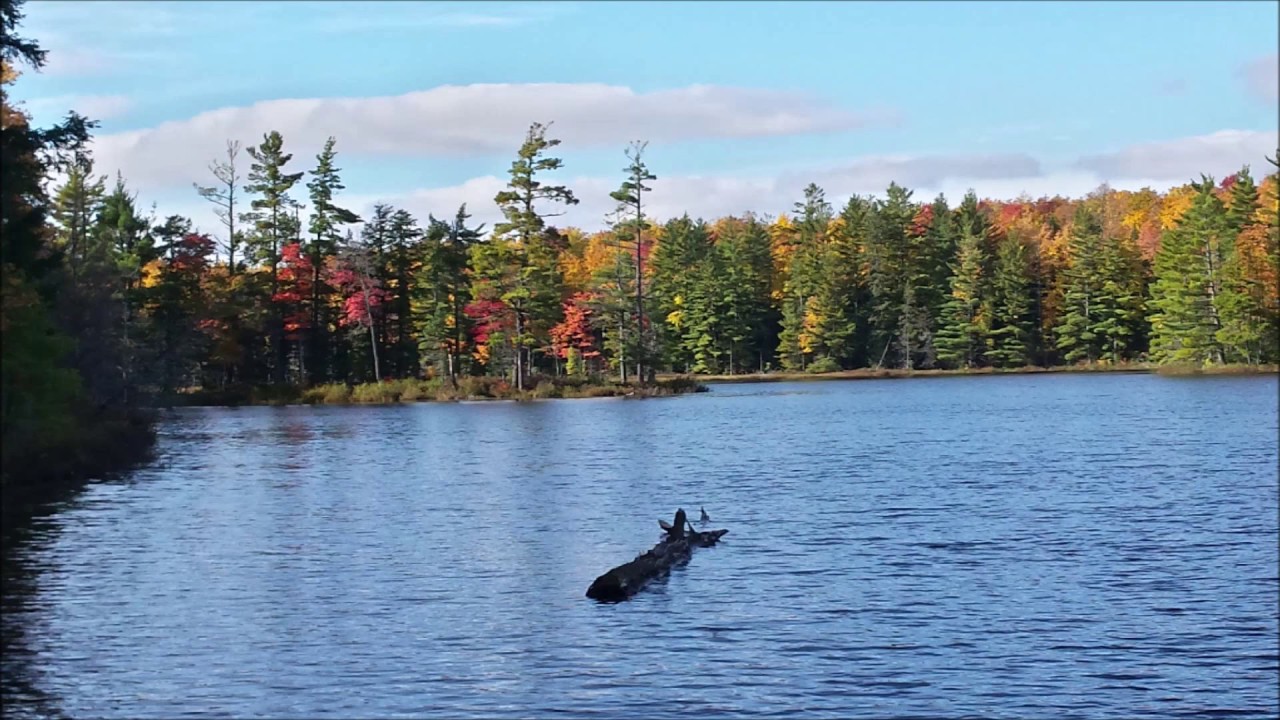 RV Fall Colors Trip ~ Quick Look at Emily Lake Campground Near ...