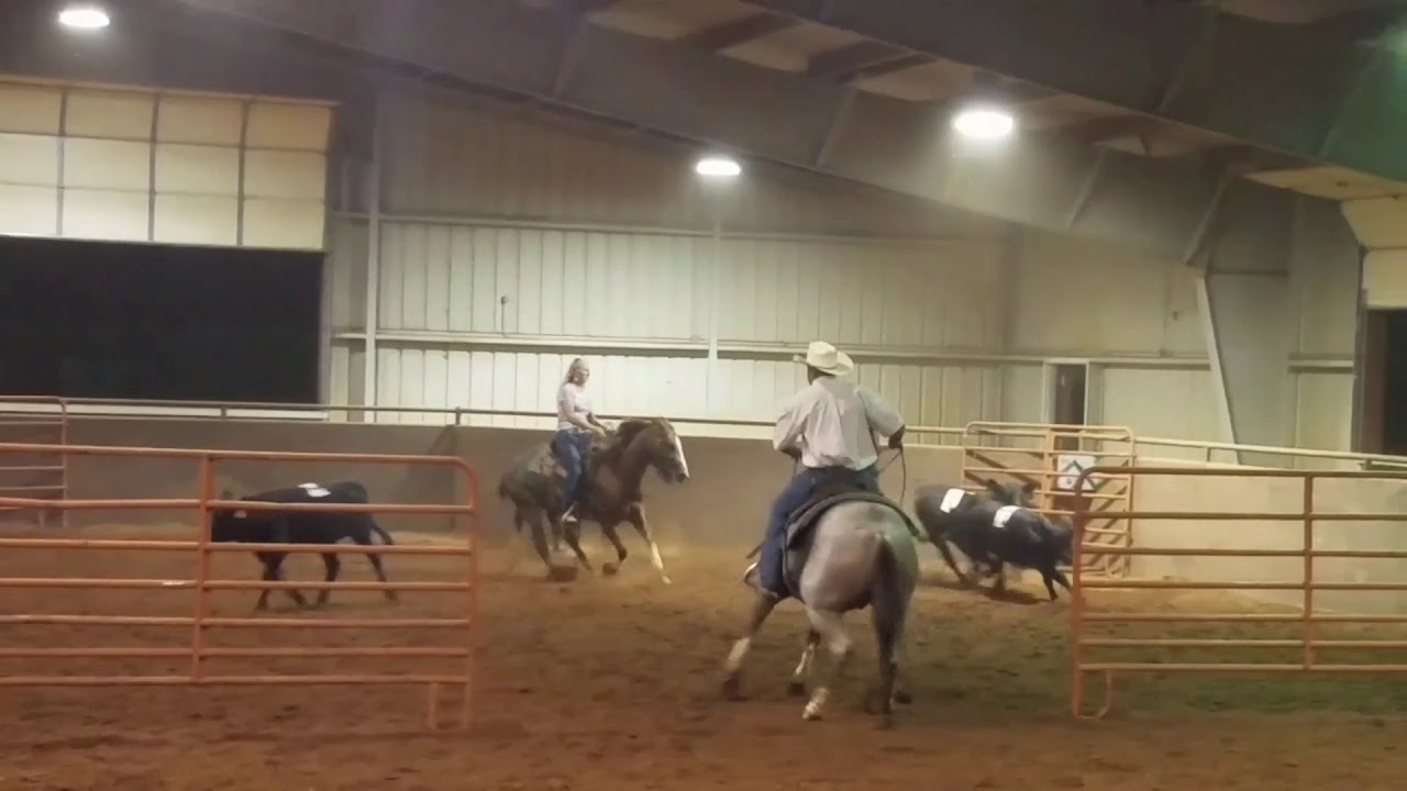 Genuine Scat Cat - Ranch Sorting - YouTube