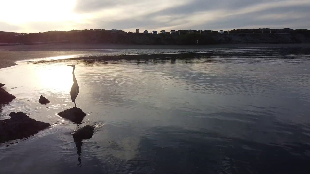 Elkhorn Slough, Moss Landing, California by DJI Mavic Mini - YouTube