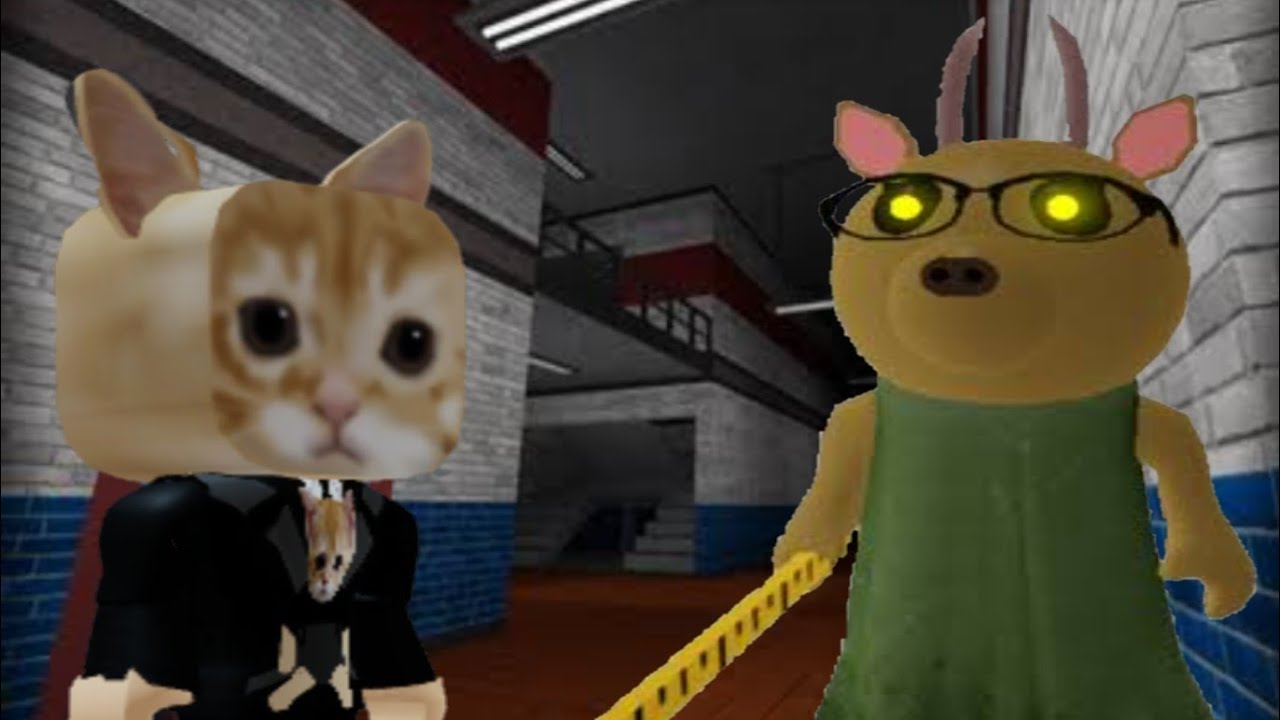 encontramos a bunny y a mrp - YouTube