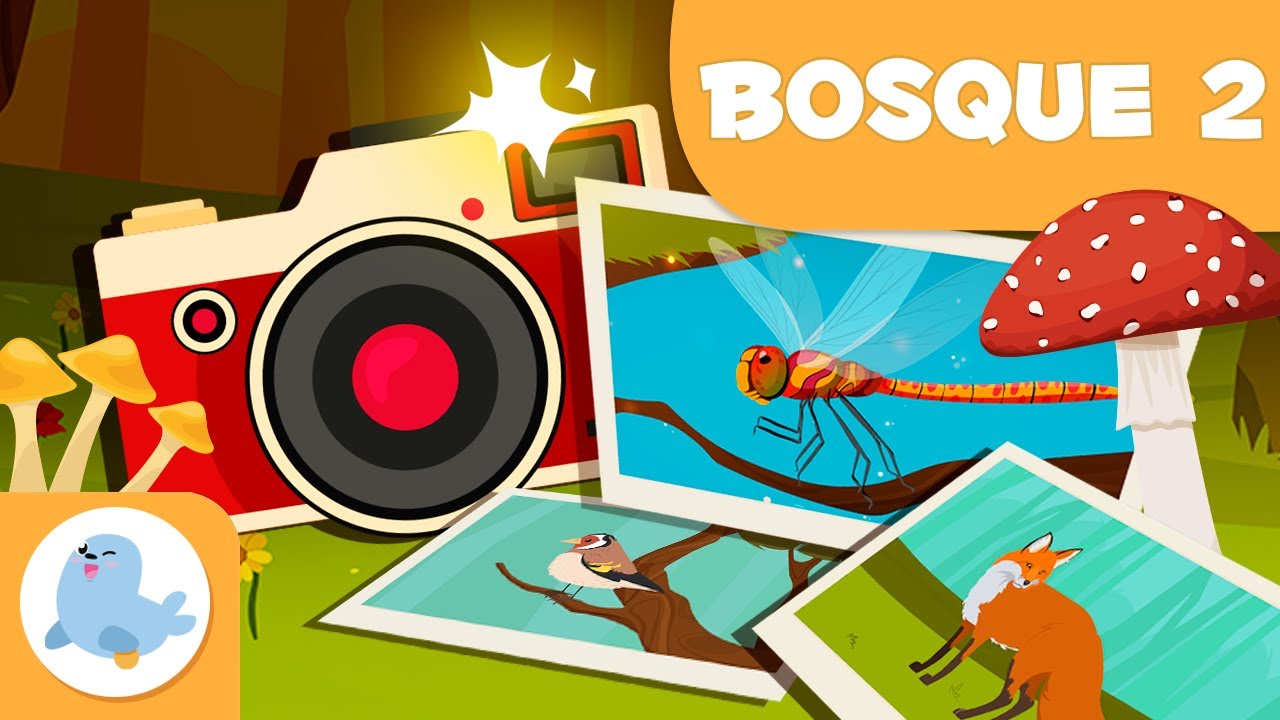 BOSQUE 🌳 Vocabulario para niños 🦊 Episodio 2 - YouTube