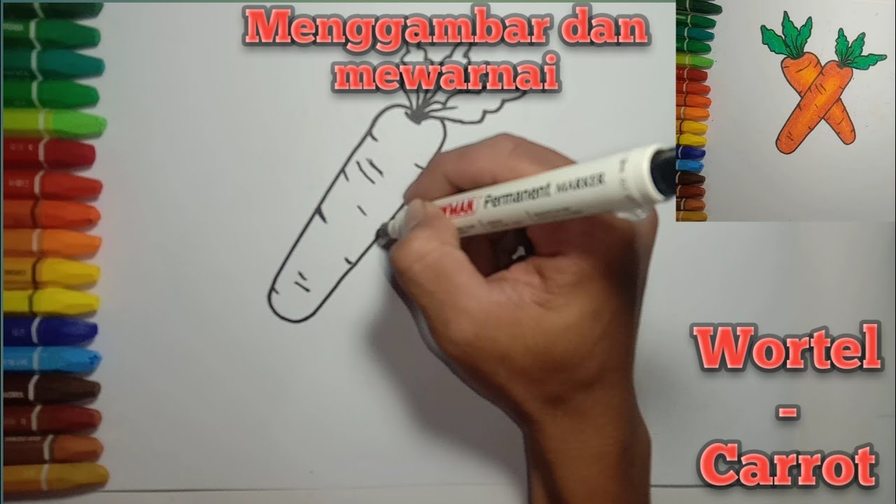 Menggambar dan mewarnai wortel // draw and color carrot - YouTube