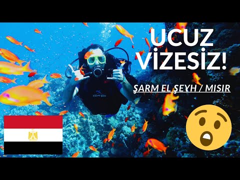Şarm El Şeyh Mısır'a Gidilmeli mi? | Sharm El Sheikh Gezisi Vlog