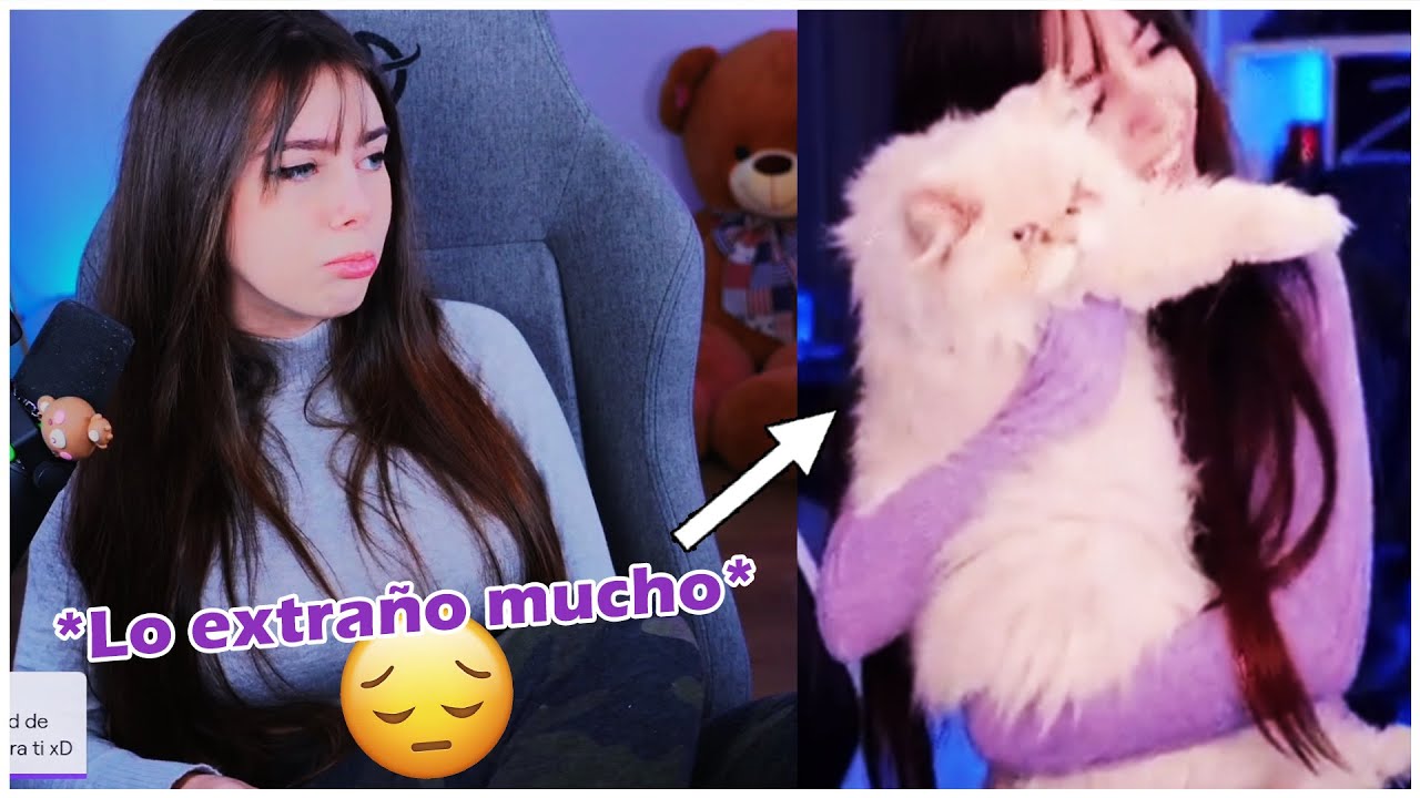 IJenz habla sobre Grumpy y su dueño🤣 - YouTube
