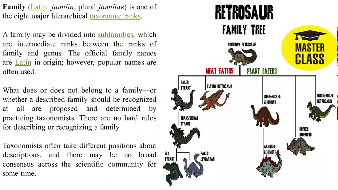 Classification of Organisms in Biology (Taxonomy) - YouTube