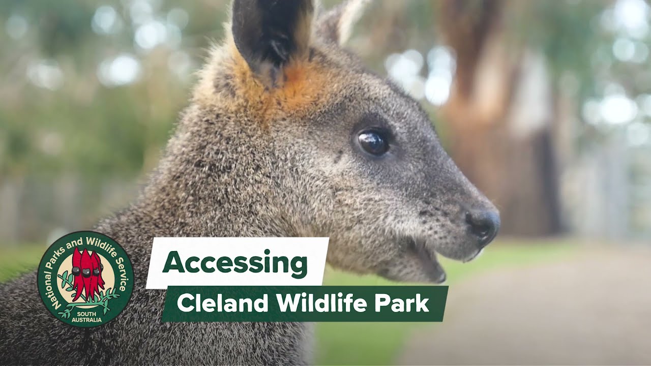 Accessing Cleland Wildlife Park - YouTube