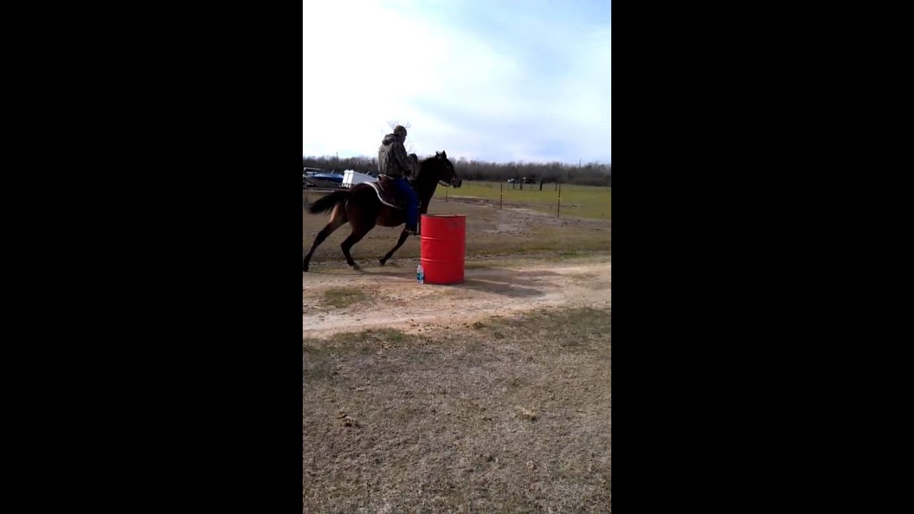 teaching my horse buddy barrel pick up - YouTube