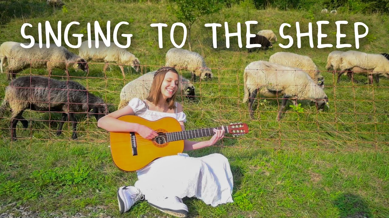 [Cover 9] somewhere only we know - keane | 🐑 singing to the sheep - YouTube