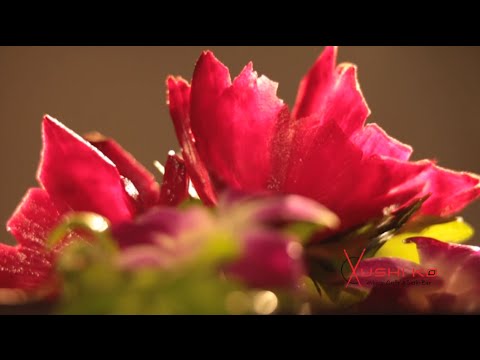 PIXIMOTION: Xushi Ko 30 Sec. Comcast commercial