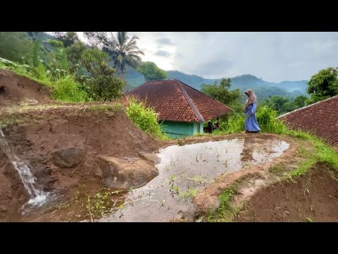Suasana Ramadhan Di Kampung, Penuh Kehangatan Dan Gadis Desanya Cantik ...