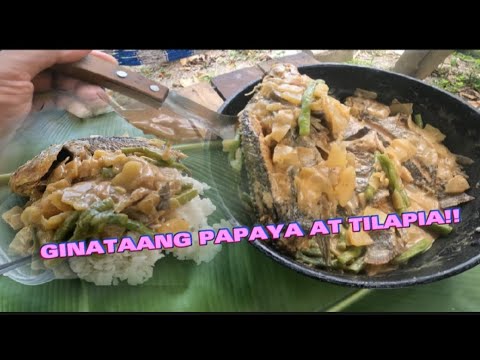 GINATAANG PAPAYA WITH PRITONG ISDA || solid sa sarap - YouTube